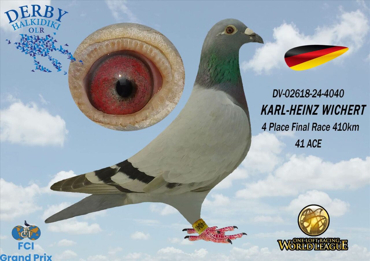 DERBY HALKIDIKI OLR 2024. Auction 1 - oneloftracingworldleague